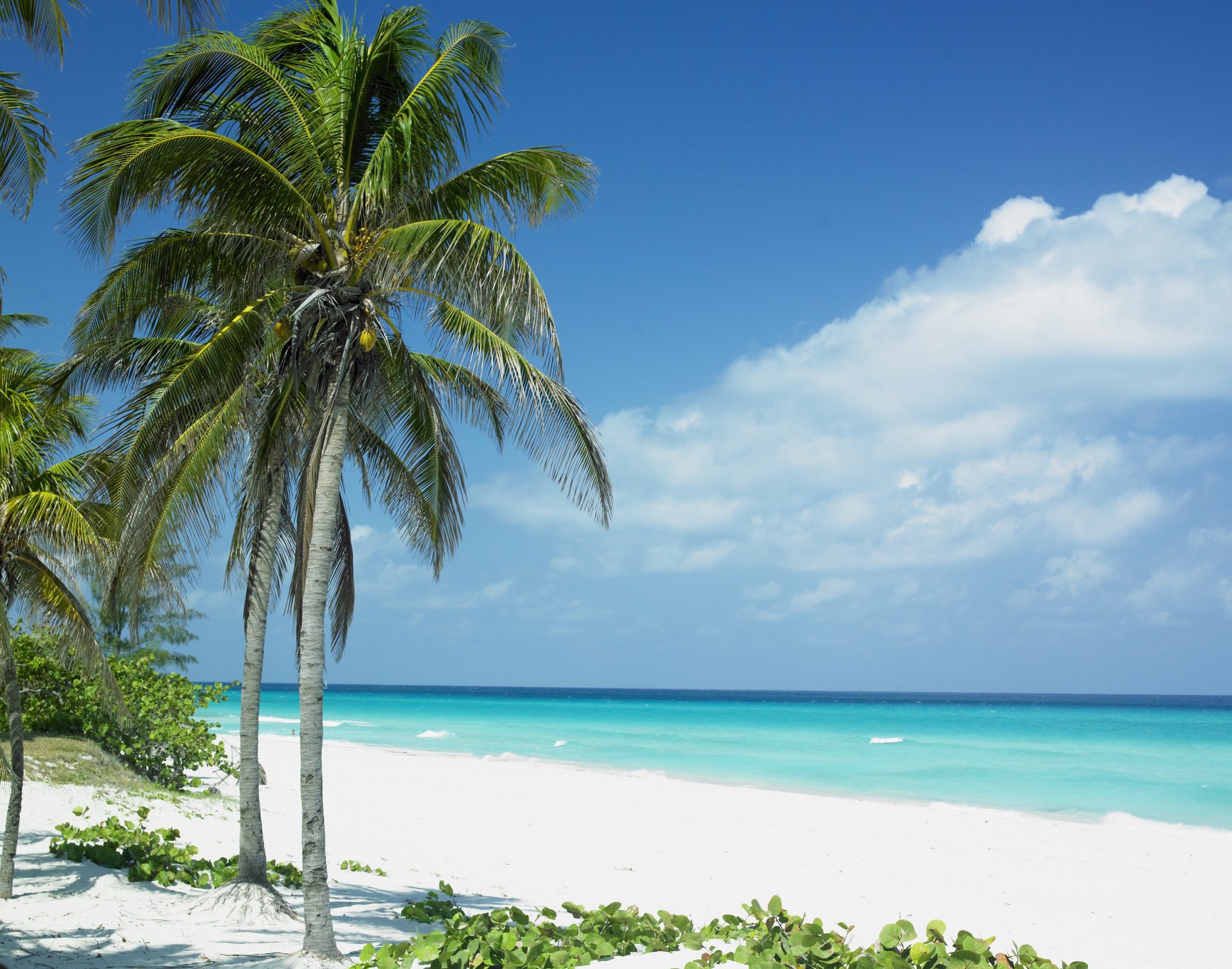Fernreise nach Kuba: 15 Tage im tollen 4* Strandhotel mit All Inclusive ...