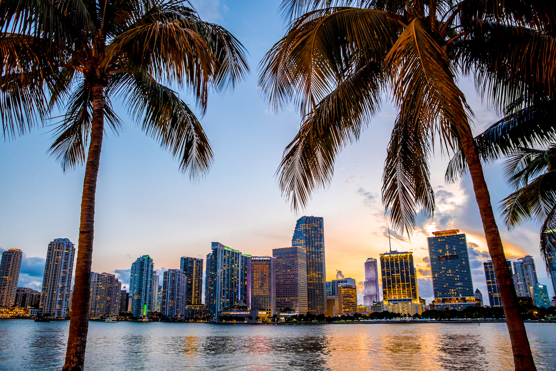 Miami Tipps: DAS solltet Ihr gesehen & erlebt haben Miami Tipps: DAS solltet Ihr gesehen & erlebt haben