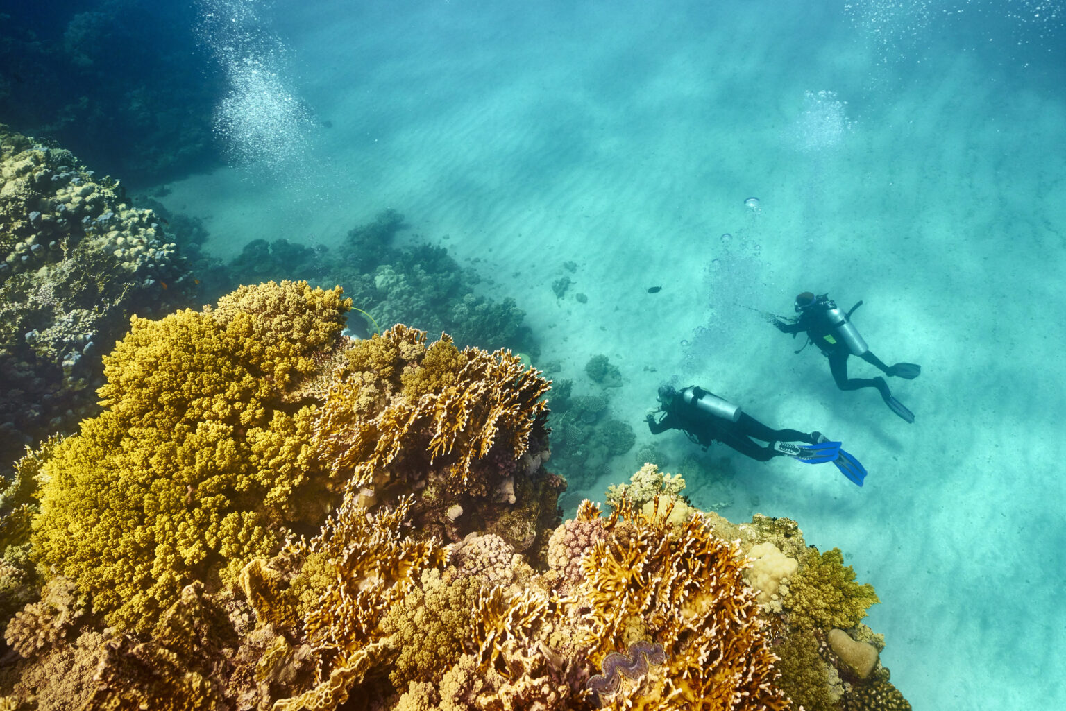 Tauchen in Ägypten: Das sind die besten Divespots