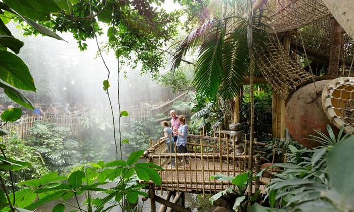Center Parcs am Wochenende: Übernachtung in der Jungle Cabana inkl ...