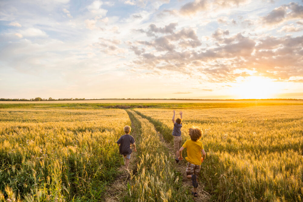 Saskatchewan Fun Facts: 10 Infos über das Herz Kanadas