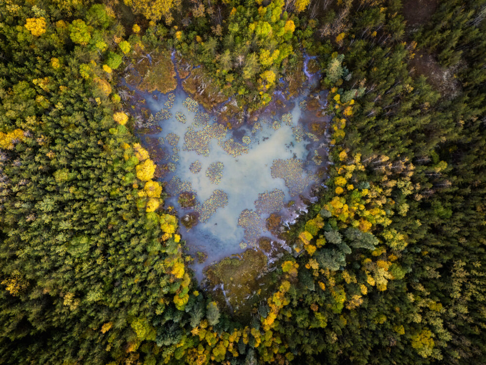 Saskatchewan Fun Facts: 10 Infos über das Herz Kanadas