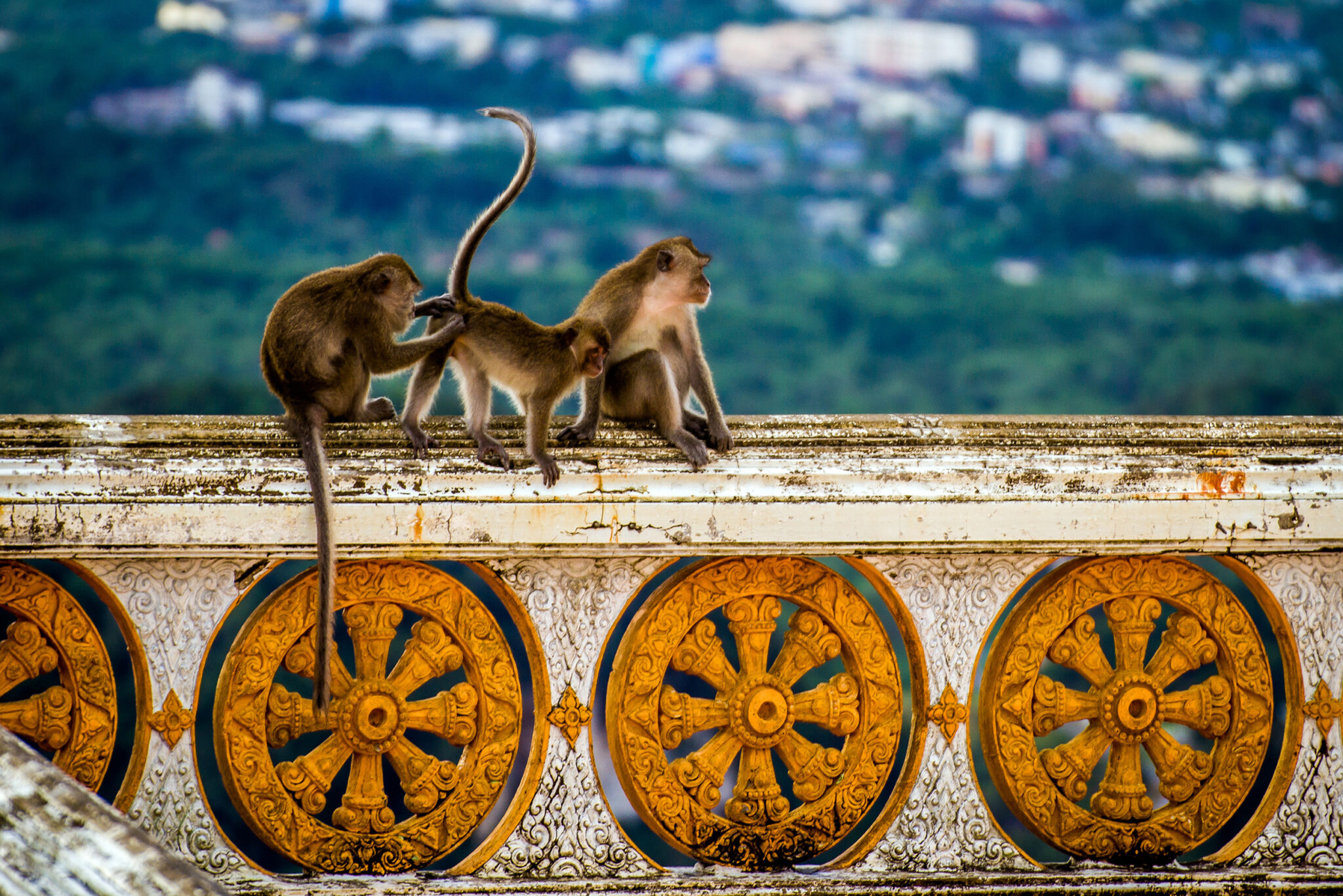 Asien Reiseziele: Diese Insider Spots gehören auf Eure Bucket List