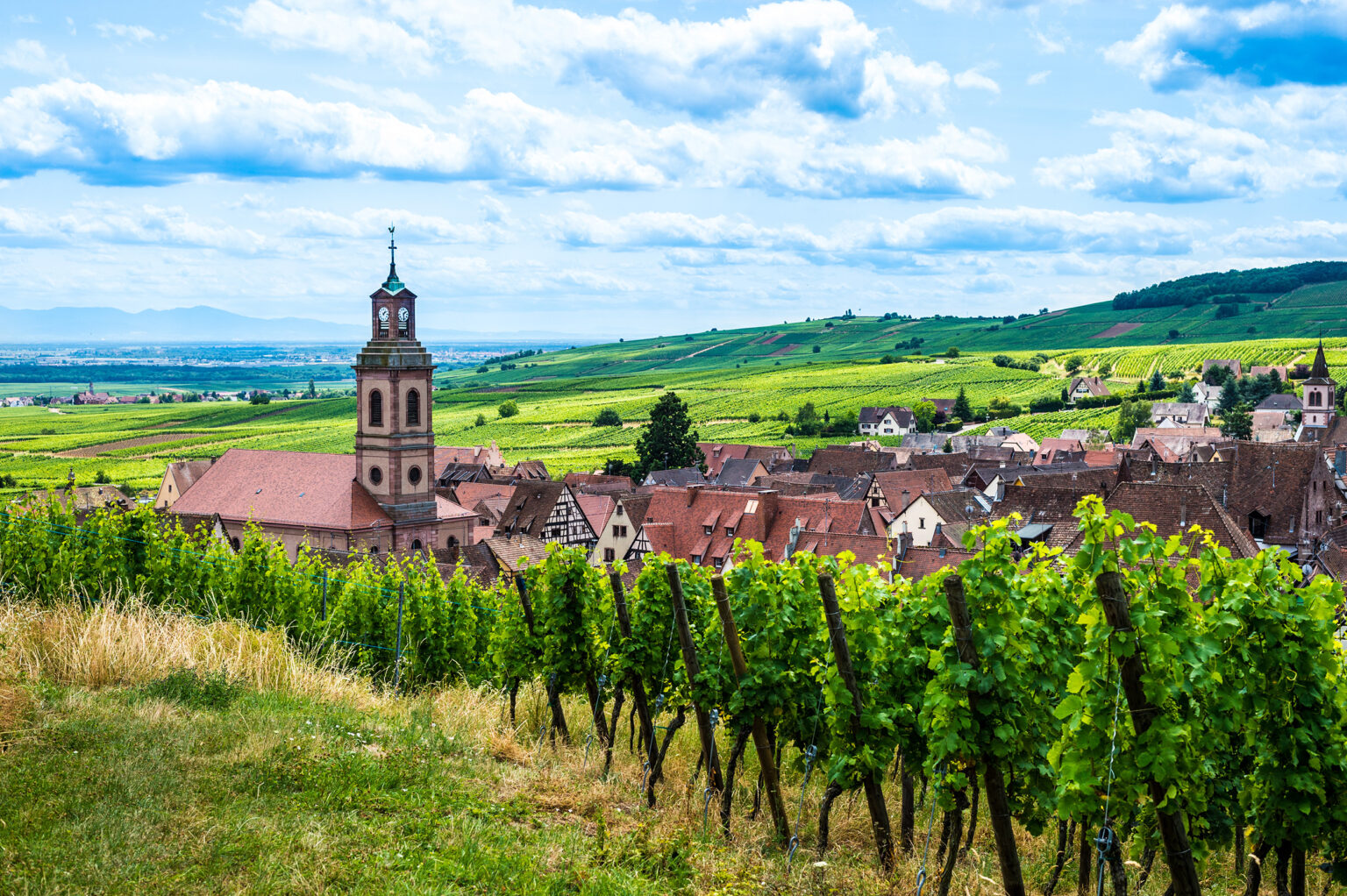 Elsass Tipps: Weindörfer, Fachwerkhäuser & Flammkuchen