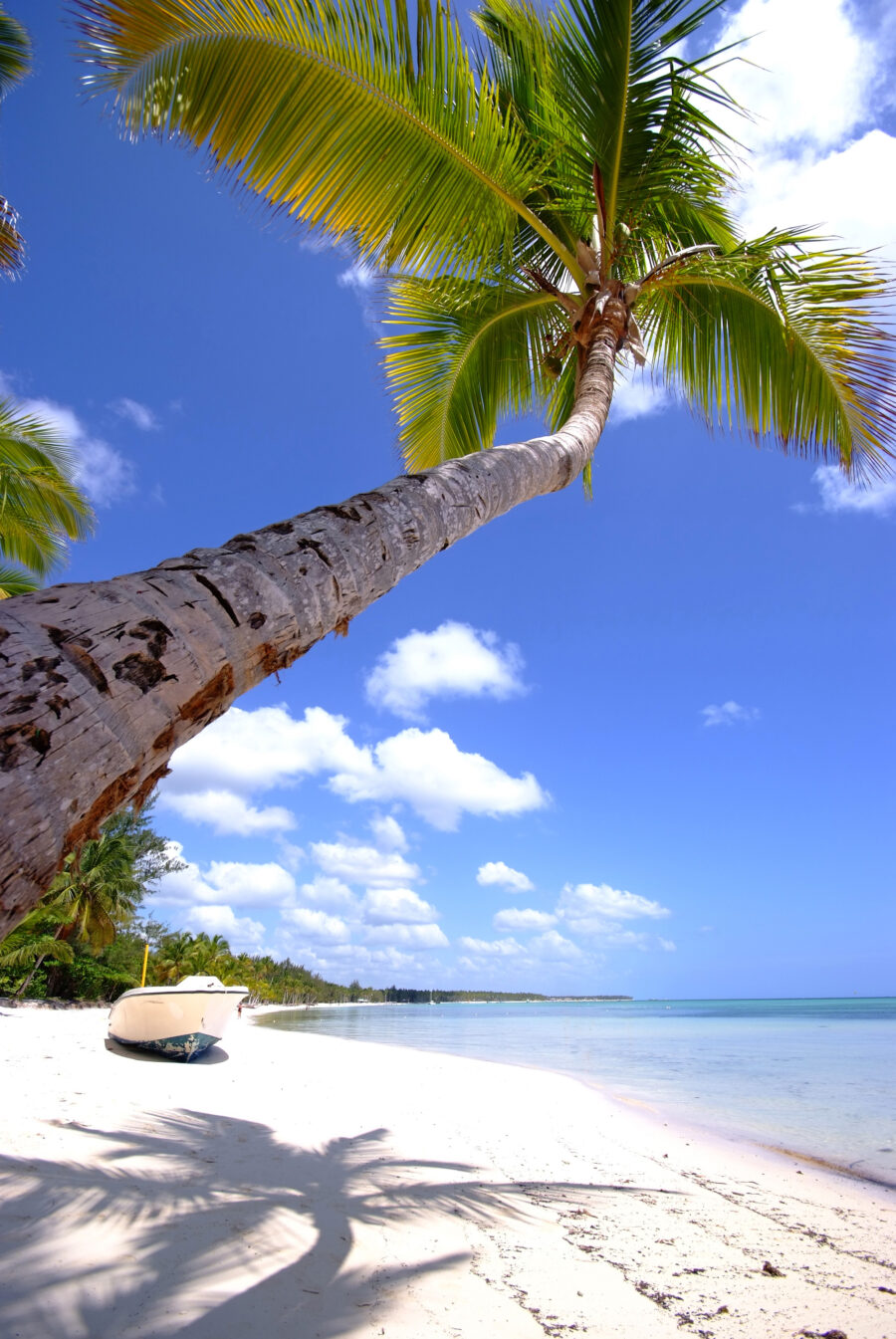 Dom Rep mit Flug & ÜF im 4* Capriccio Mare ab 829€ 🌴