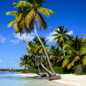 Dom Rep Angebote – Schnäppchen und Deals