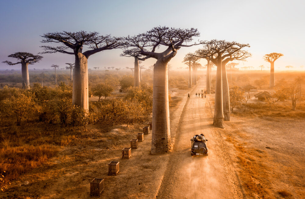 Madagaskar Tipps: Warum sich ein Abenteuer lohnt Madagaskar Tipps: Warum sich ein Abenteuer lohnt