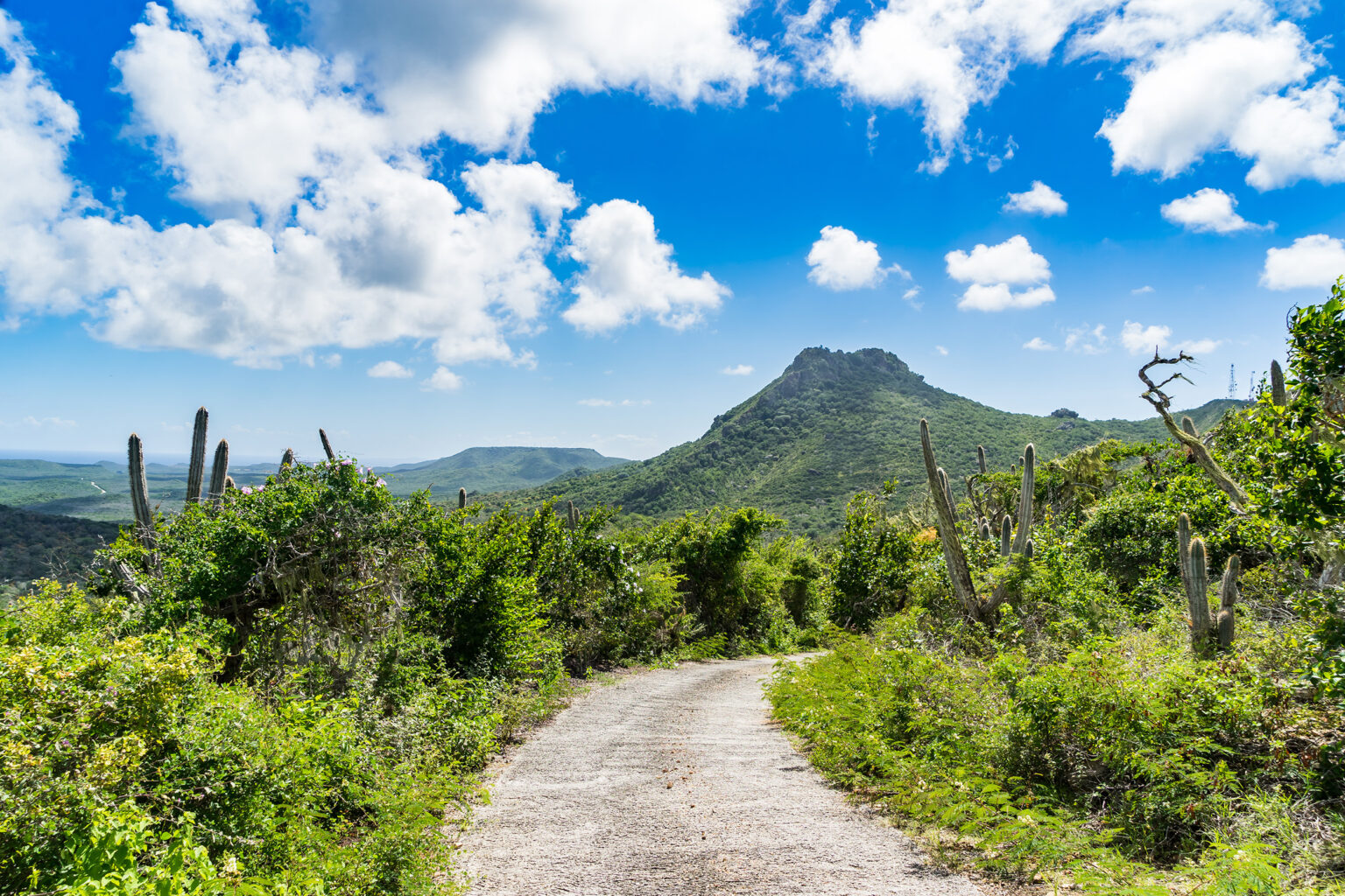 Top Sehenswürdigkeiten und Geheimtipps auf Curaçao
