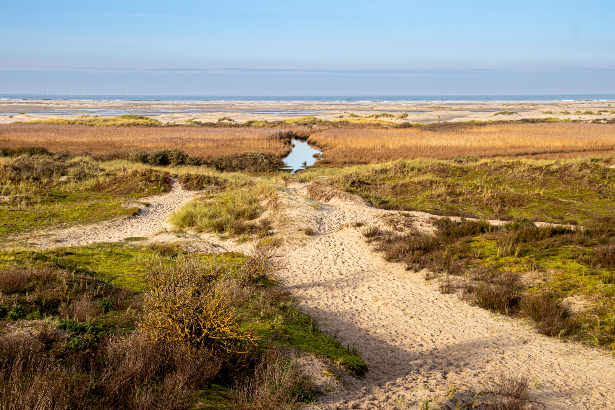 Die 12 schönsten deutschen Nordseeinseln - Unser Ranking