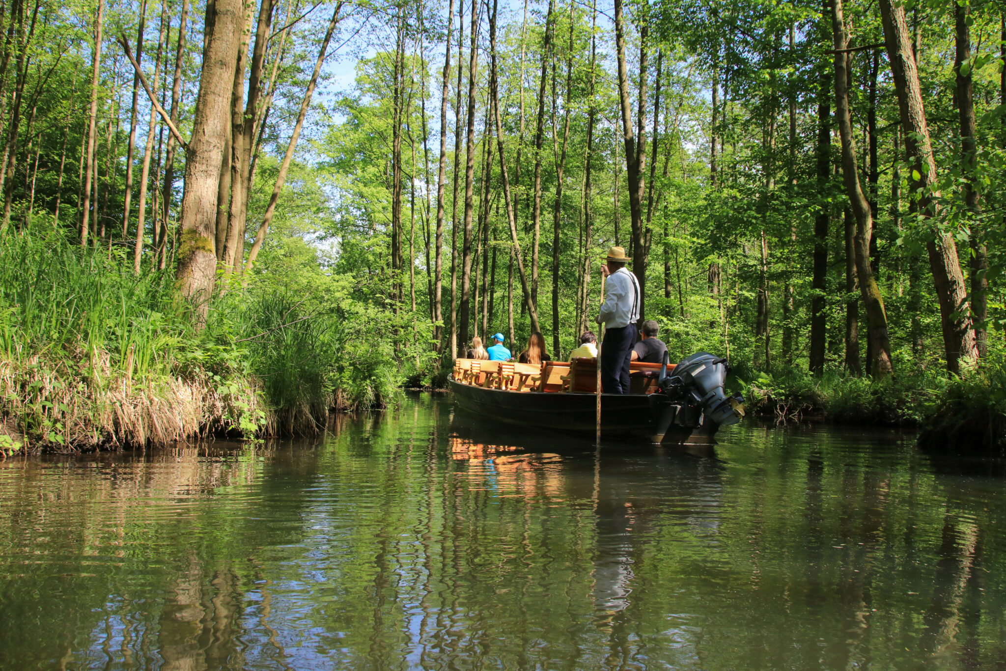 Spreewald Urlaub 2025: Die besten Angebote & Tipps