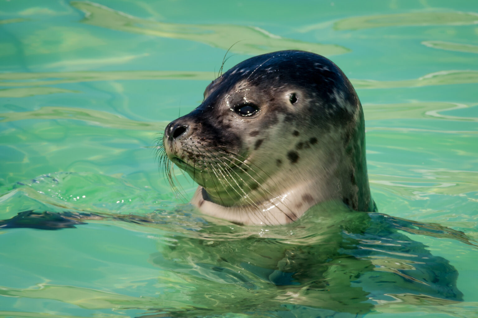 Texel Tipps: Die top Sehenswürdigkeiten & Insidertipps für die Watteninsel