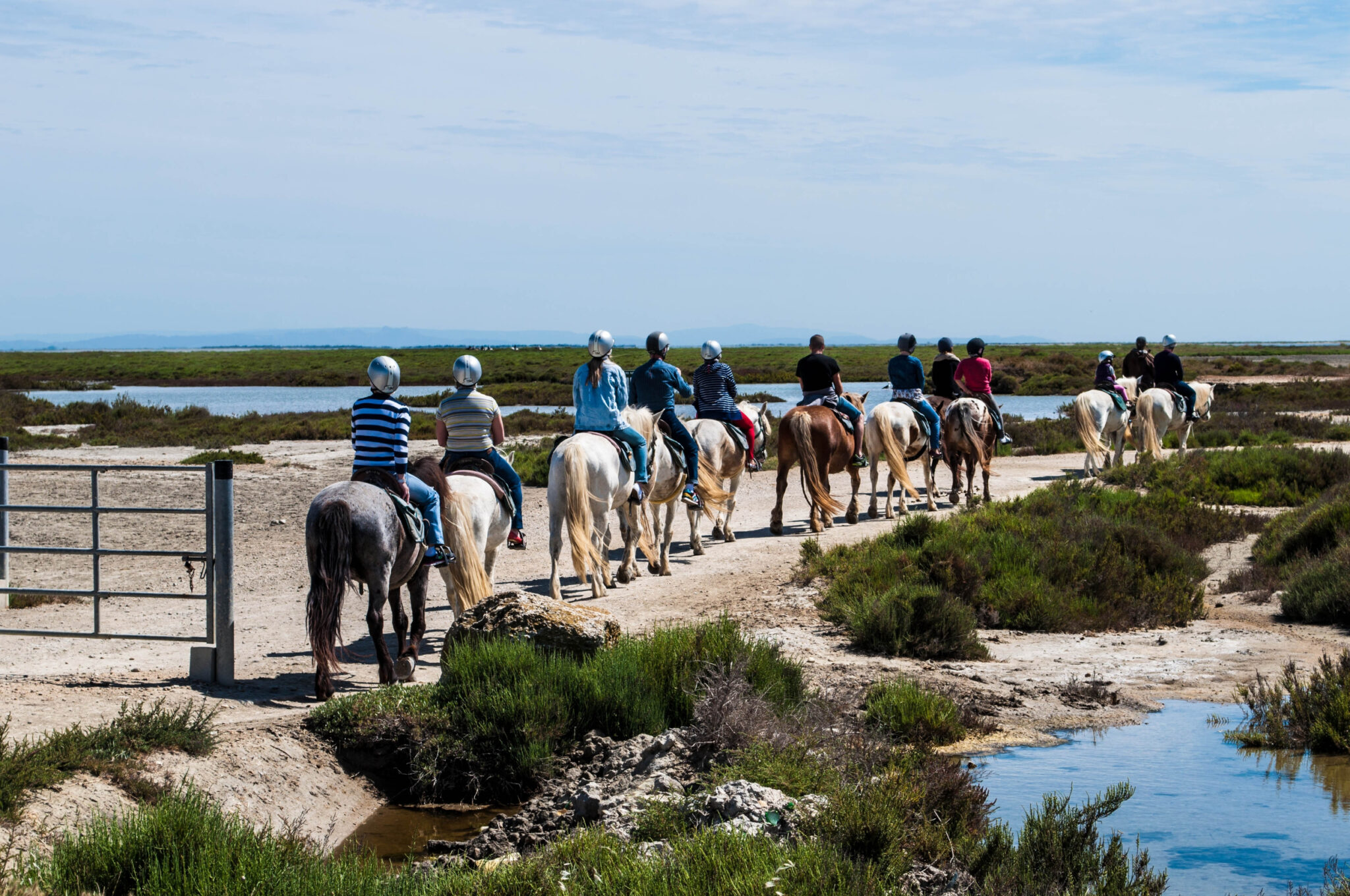 Camargue Tipps: Unserer Highlights im Überblick