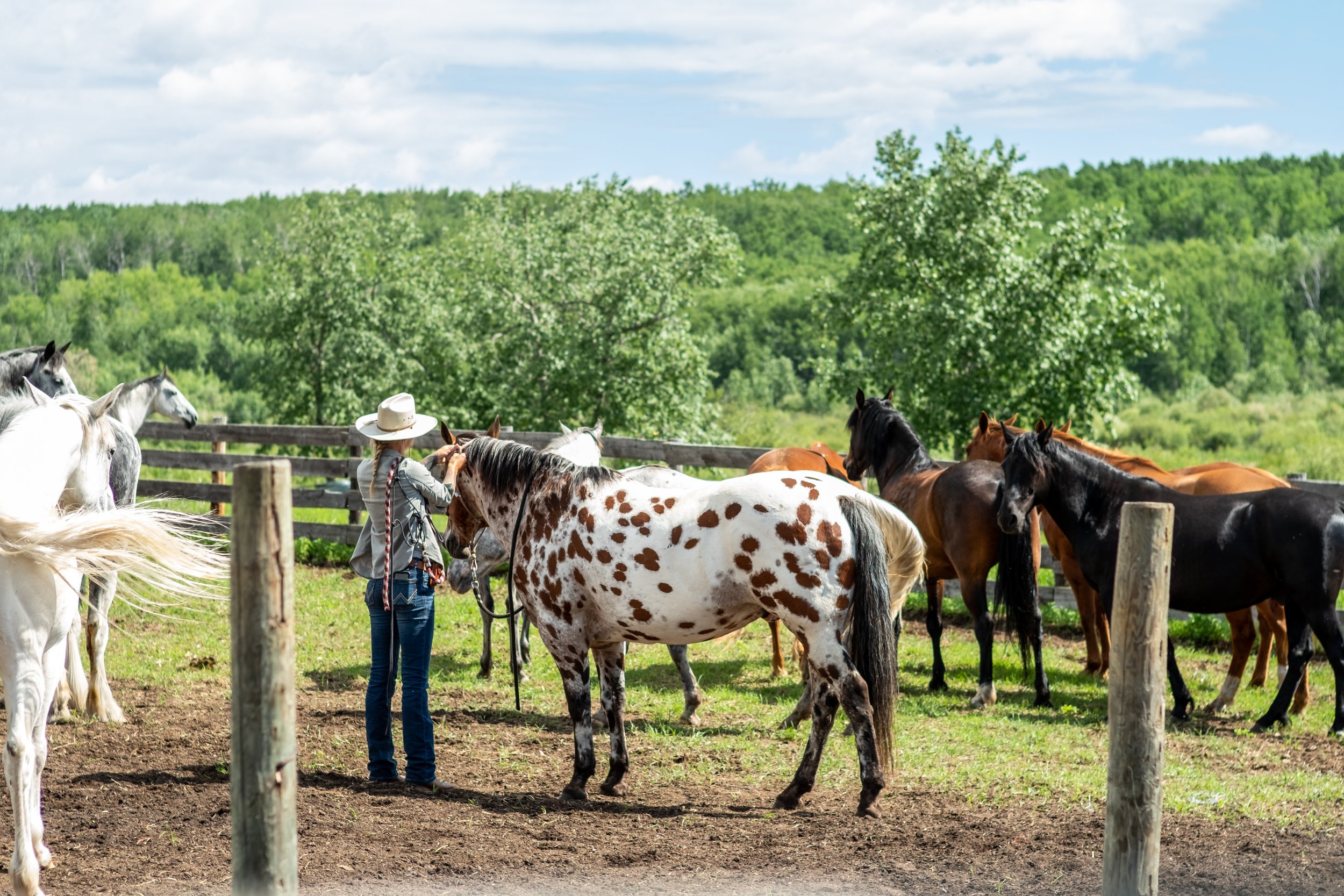 Urlaub auf einer Ranch in Kanada: Erkundet Saskatchewan!