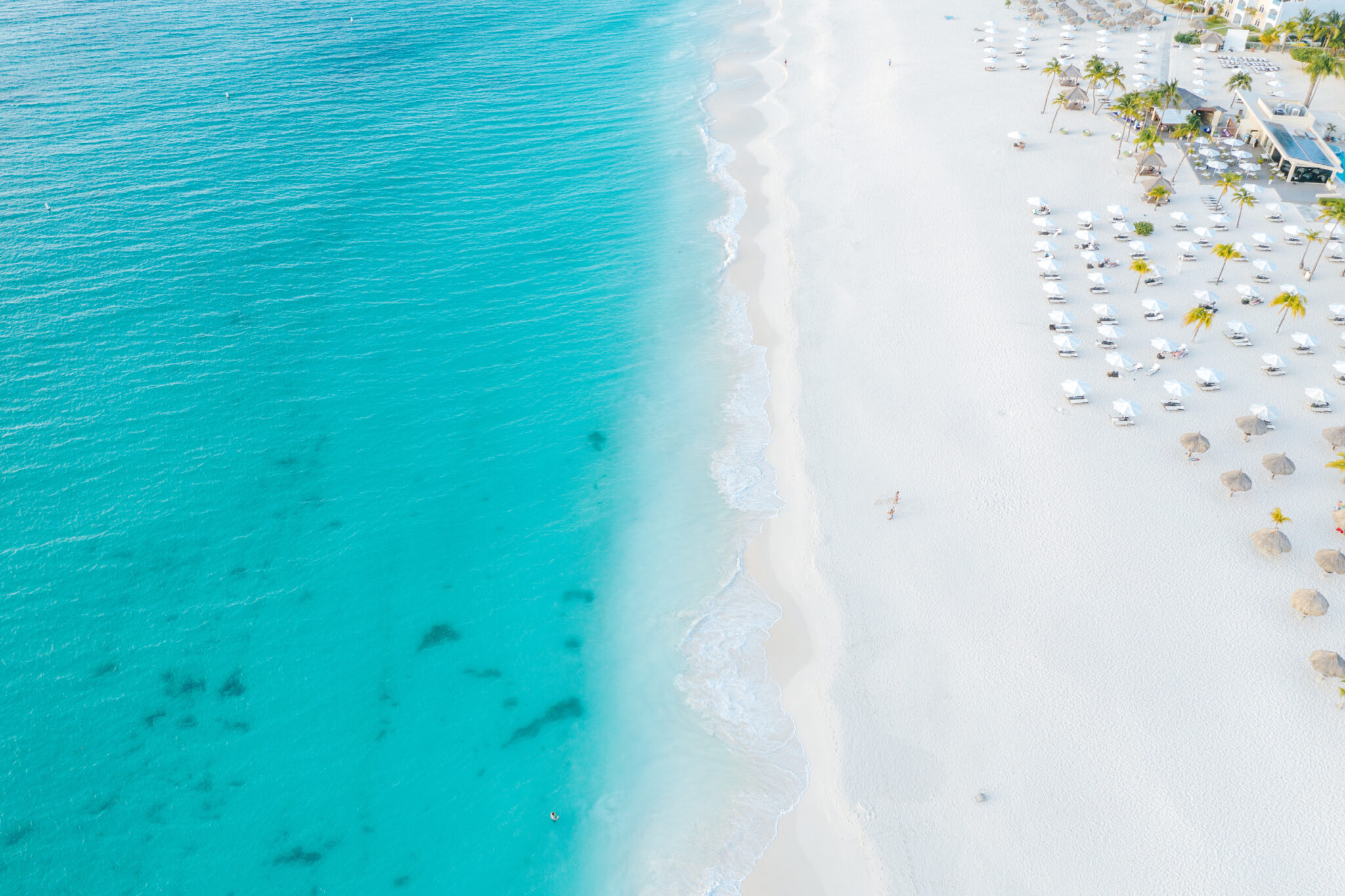 Arubas schönste Strände für Euren Traumurlaub in der Karibik