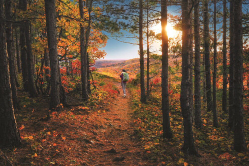 Michigan Infos: Alles, was Ihr über den Bundesstaat wissen müsst